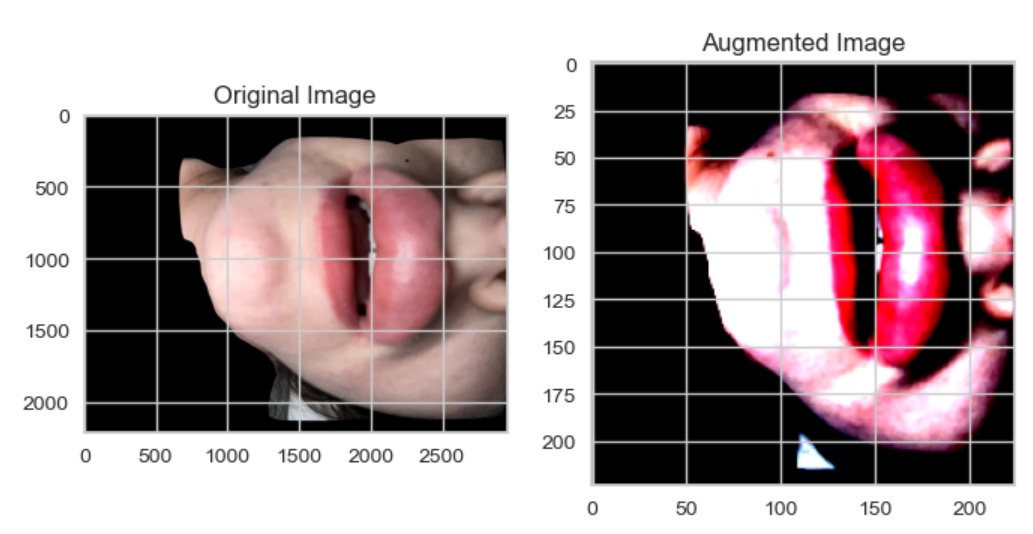 Sofia Guerrero | Web Portfolio